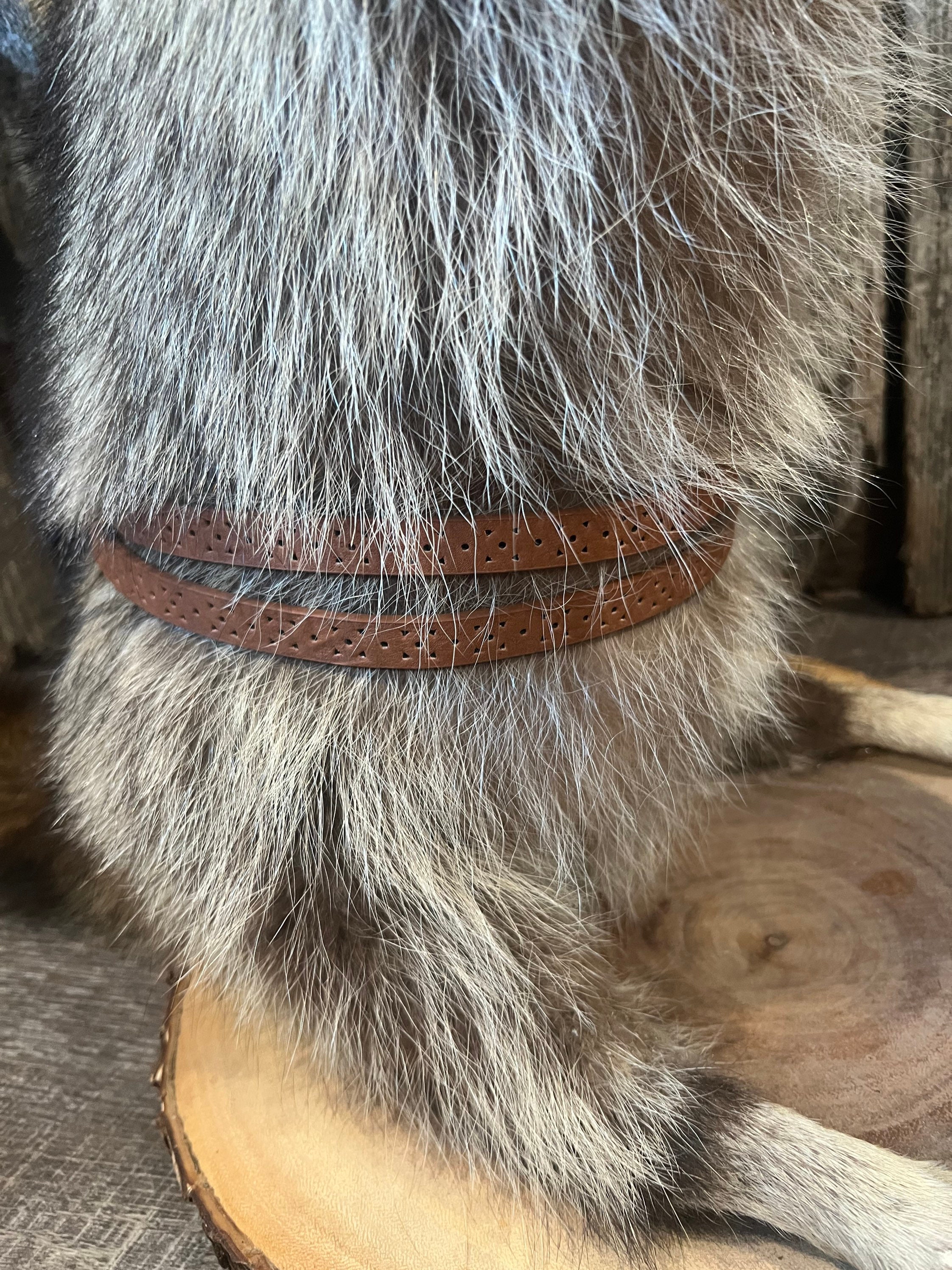 TEXAS EDITION Cowboy Squirrel Riding Raccoon Mount - Etsy