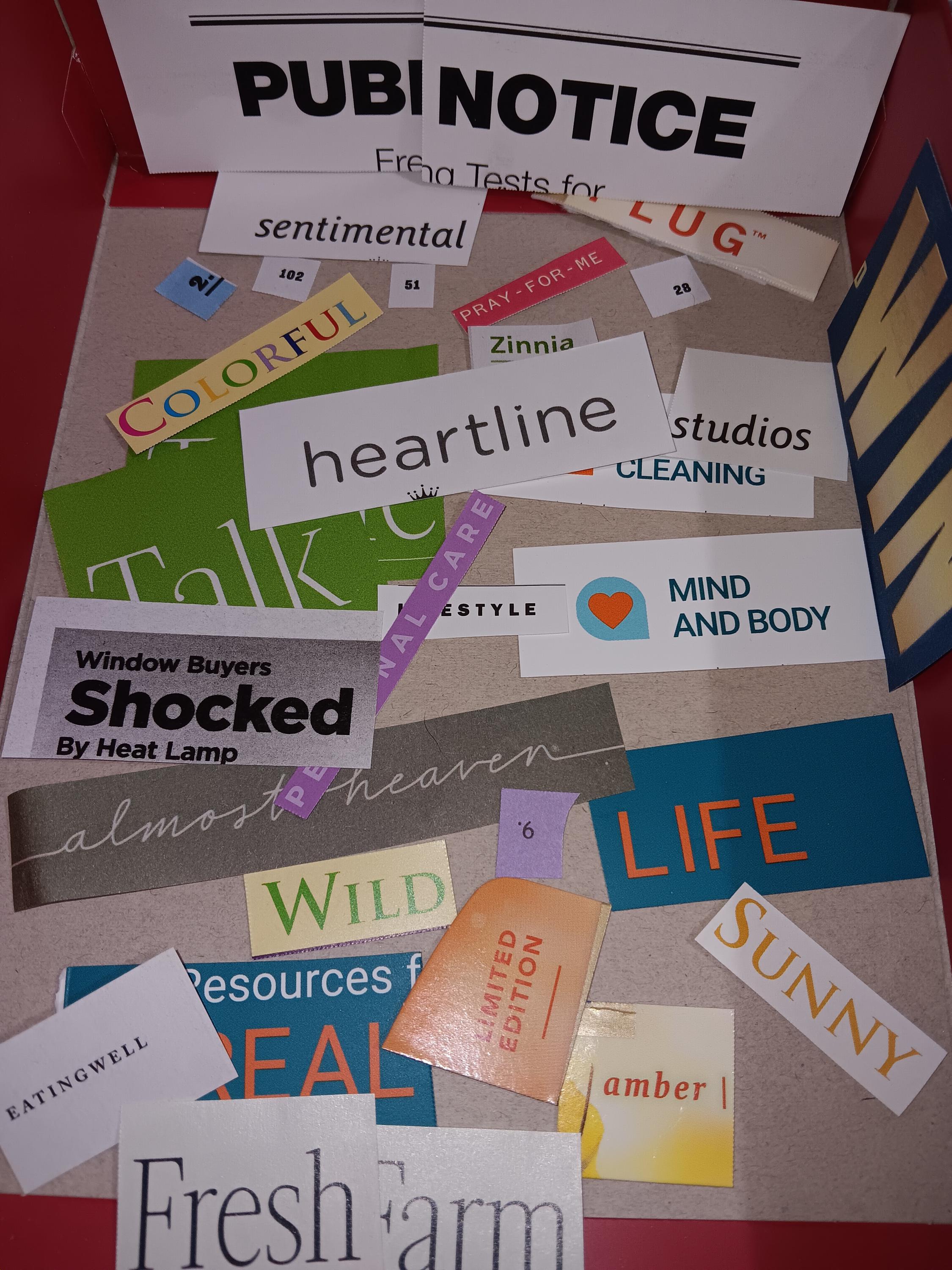 Scrapbooking / Vision Board Cut Outs. Words, Letters, Numbers, Phrases ...