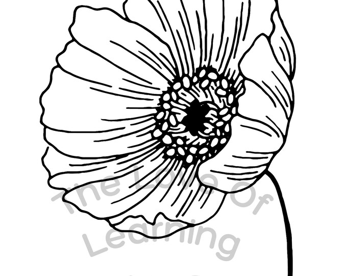 Poppy Colouring Page Remembrance Day Veterans Day Coloring Page - Etsy ...
