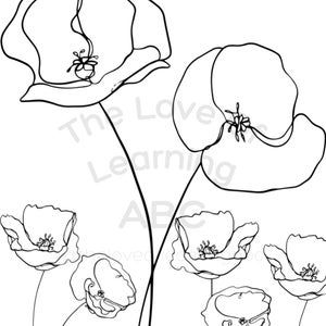 Remembrance Day Poppy Printable Colouring Page Veterans Day Coloring - Etsy