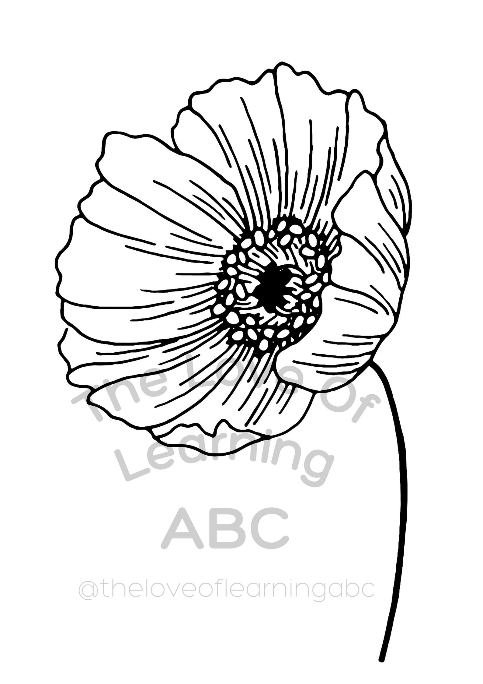 Poppy Colouring Page Remembrance Day Veterans Day Coloring Page - Etsy