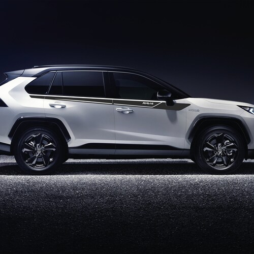 Upper Body Stripe Decals Stickers Graphic Kit Fits Toyota Rav4 - Etsy