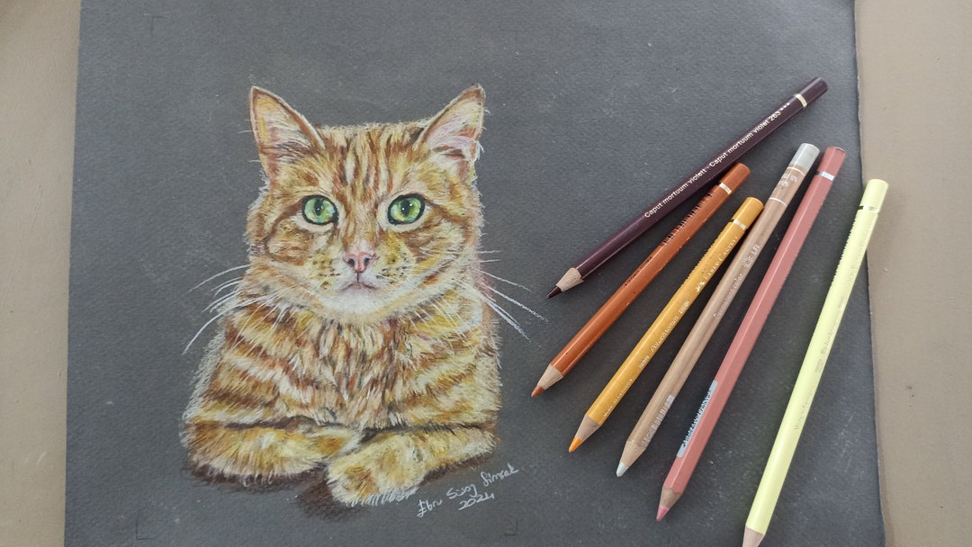 Pet Portrait, Cat Portrait , Hand Made Drawing , Drawing From Photo - Etsy