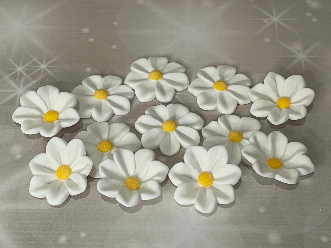 Daisy Cake Decorations Wedding Cake Edible Flowers - Etsy
