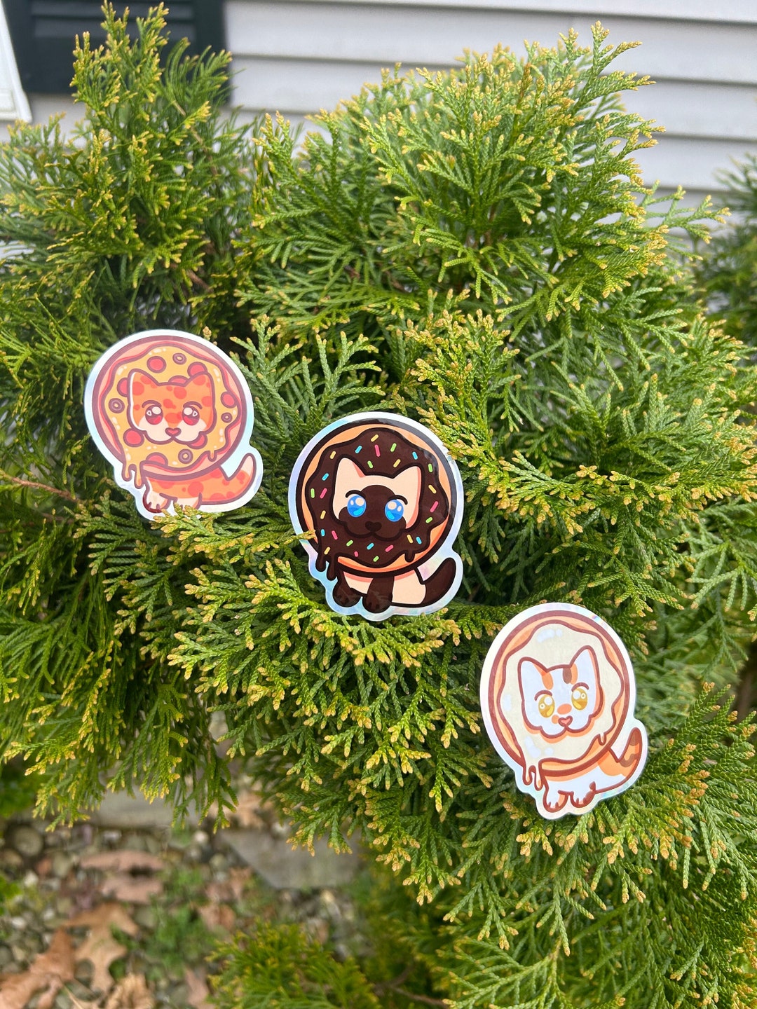 Carb Cat Cute Holographic Stickers - Pizza, Donut, Bagel - Etsy