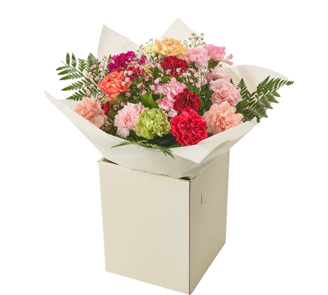 Simple Beauty Fresh Carnation Flower Bouquet in Gift Bag, Mixed Colours ...
