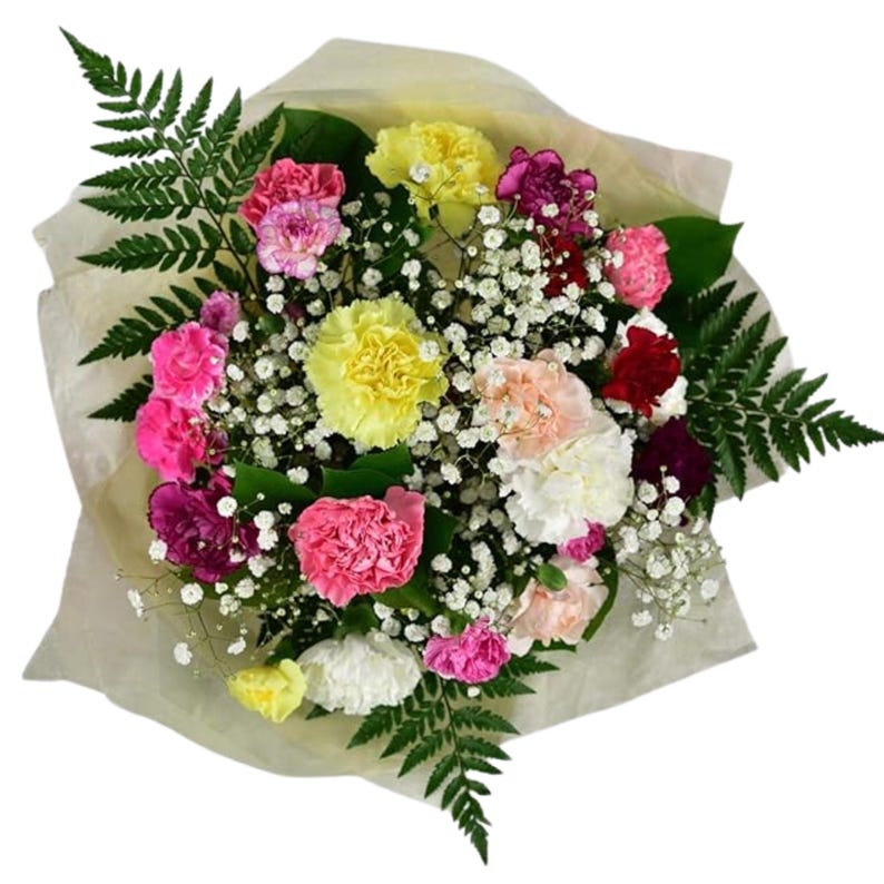 Simple Beauty Fresh Carnation Flower Bouquet in Gift Bag, Mixed Colours ...