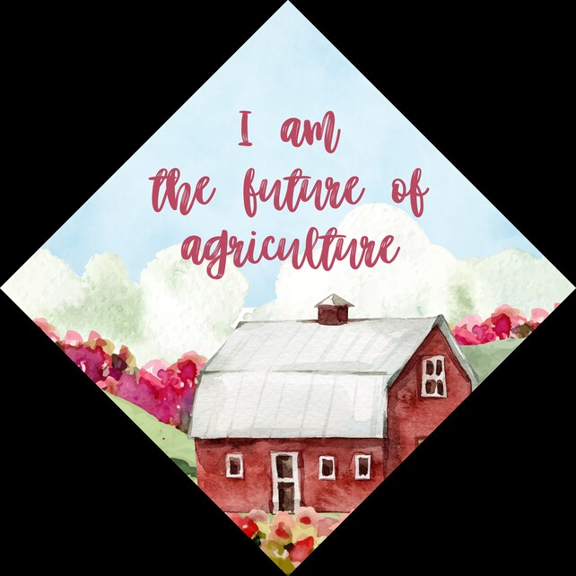 Agriculture Graduation Cap Topper - Etsy