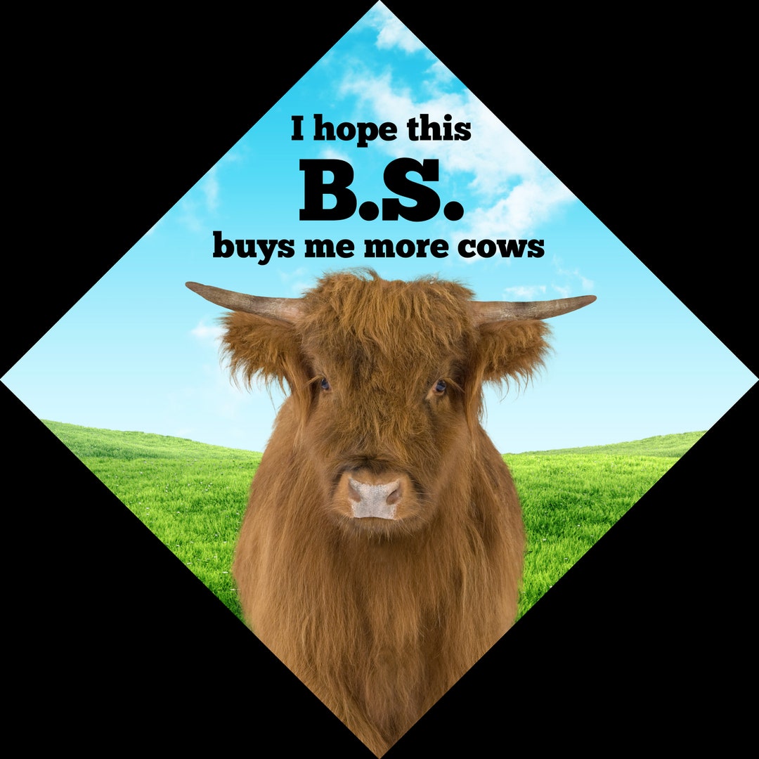 Graduation Cap Topper - More Cows - Etsy