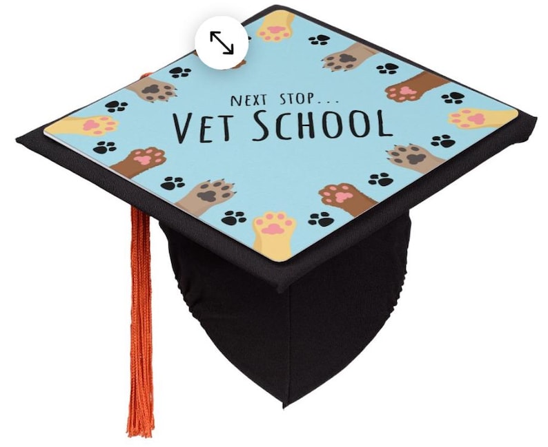 Graduation Cap Topper - Future Veterinarian 2 - Etsy
