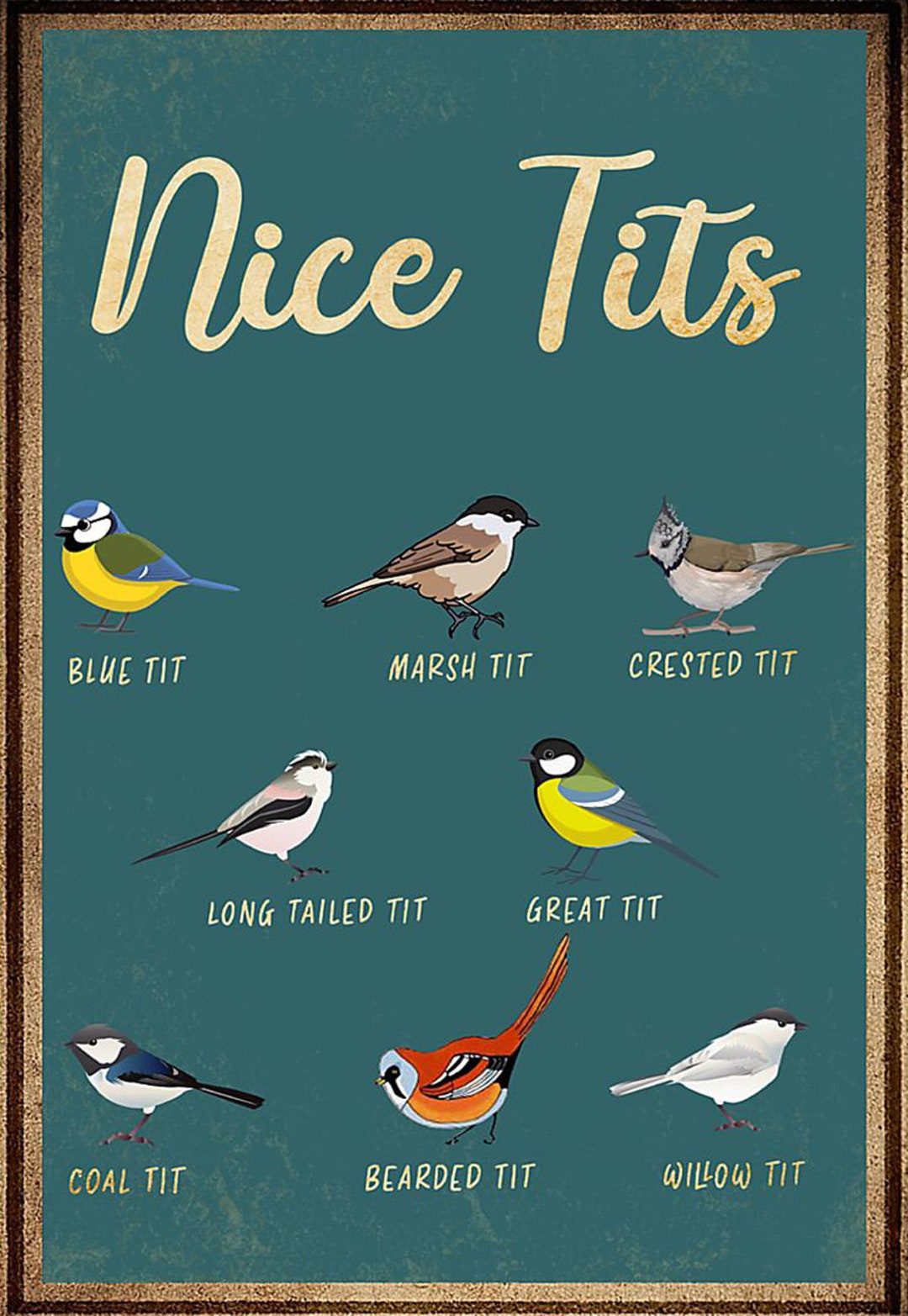 Nice Tits Funny Bird Blue Tit Marsh Tit Crested Tit Long Tailed Tit