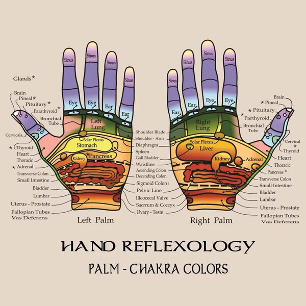 Reflexology Poster - Etsy