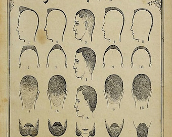 Barber Shop Haircuts Chart