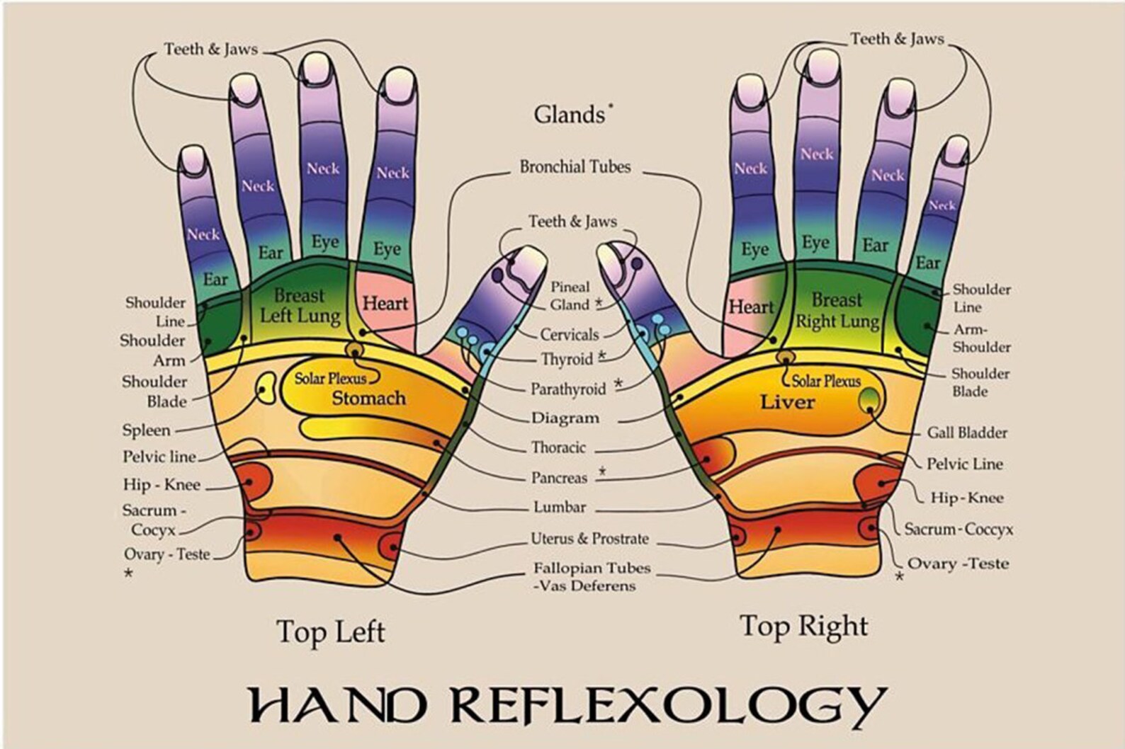 Massage Therapist Hand Reflexology Horizontal Wall Decor Art Print ...