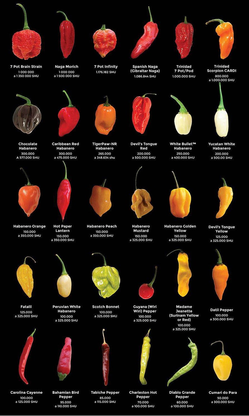 The Big List of Hot Peppers, Hot World of Chili Print Poster Home Decor ...