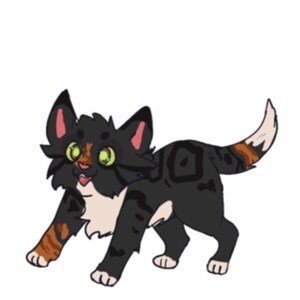 Warrior Cats Original Character Drawing Commission - Etsy