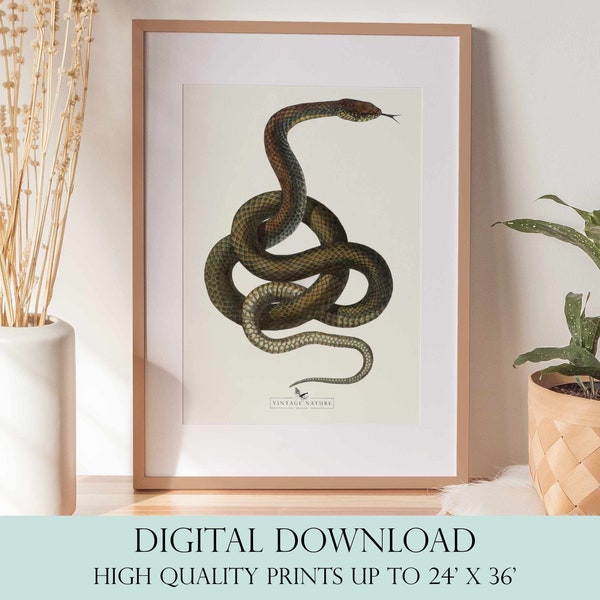 Snake Wall Art - Etsy