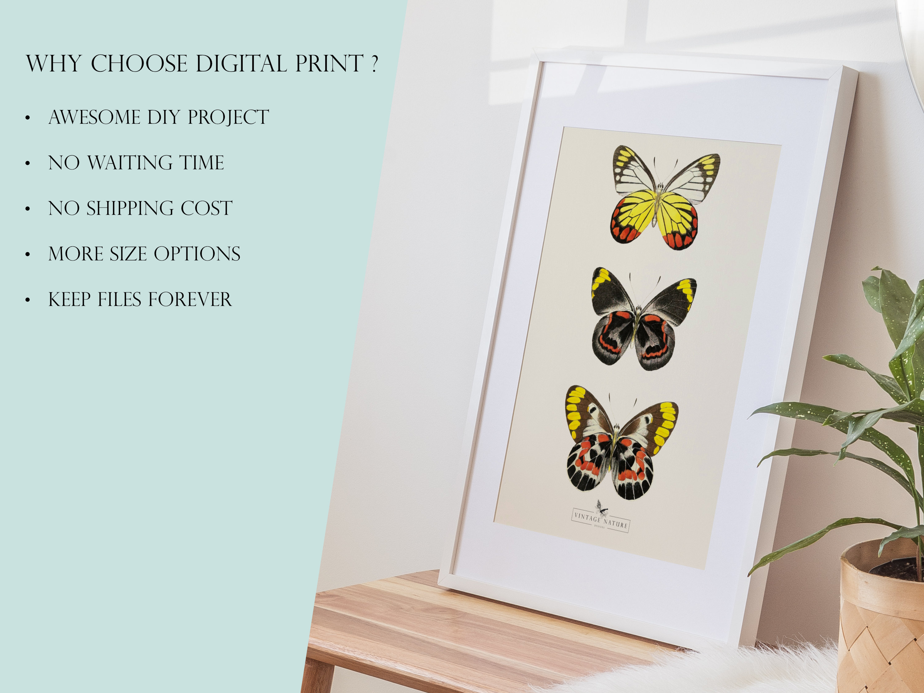 Butterfly Print | Vintage Decor | PRINTABLE Wall Art | Instant Download ...