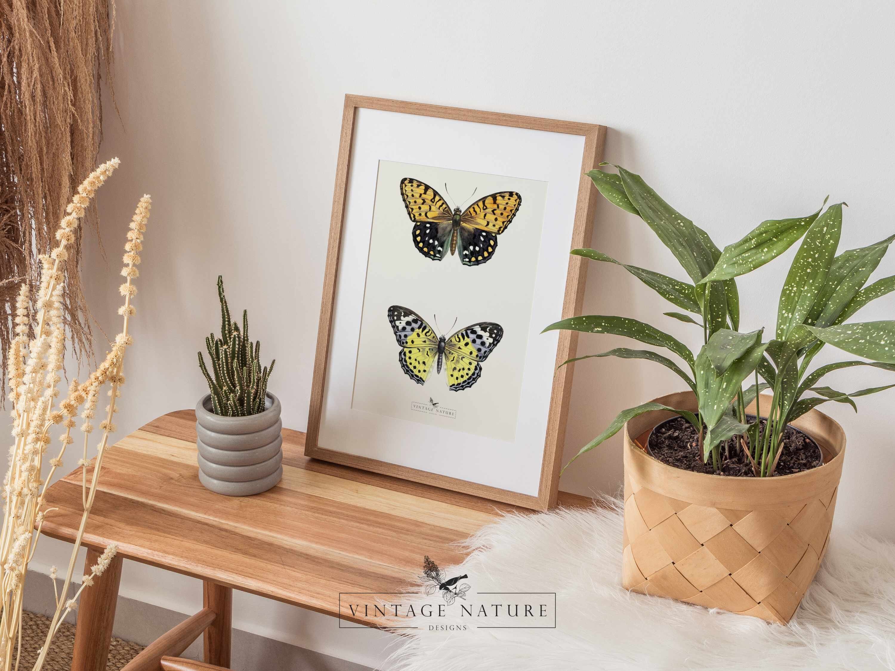 Butterfly Print | Vintage Decor | PRINTABLE Wall Art | Instant Download ...