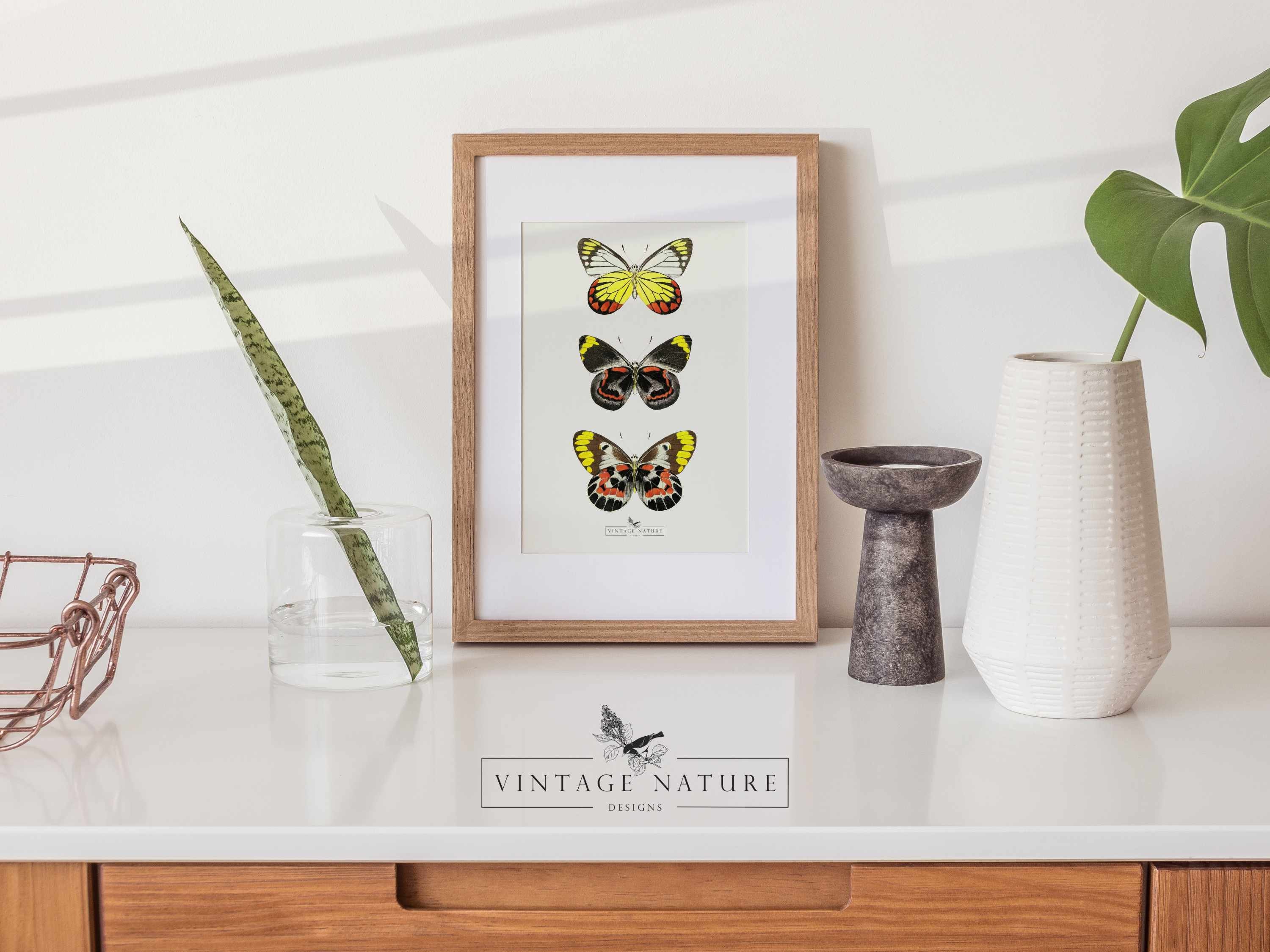 Butterfly Print | Vintage Decor | PRINTABLE Wall Art | Instant Download ...