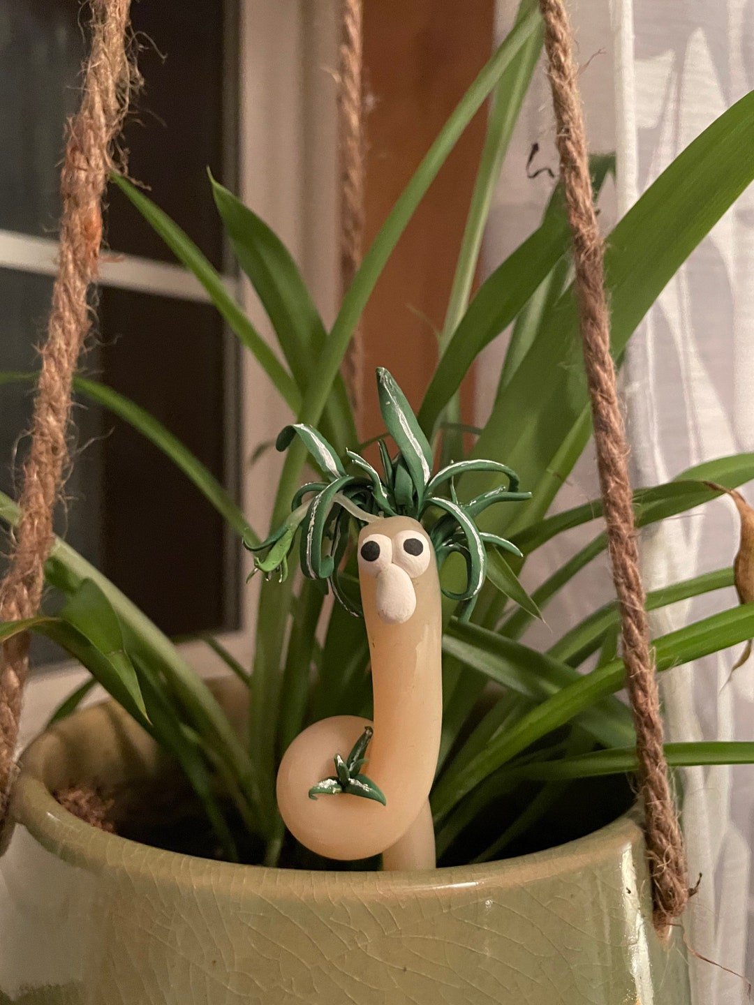 Moisture Detector Spider Plant Squirmy Wormy - Etsy