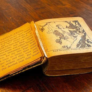 The Tarzan Twins Circa 1934, Edgar Rice Burroughs, the Big Little Book ...