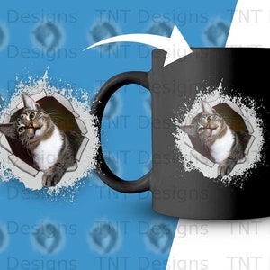 Cat Lover Digital Png File, Instant Download, Funny Cat T-shirt Design ...