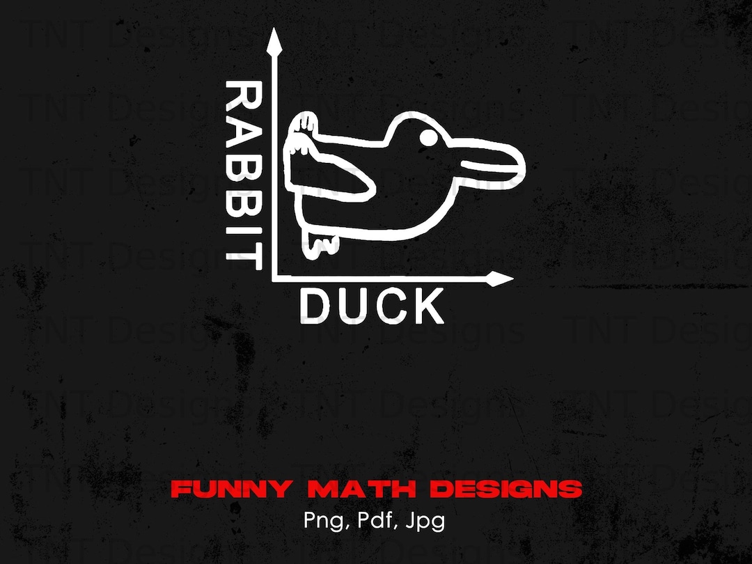 Rabbit Duck Graph Math Teacher Digital Png File Instant Download, Math ...