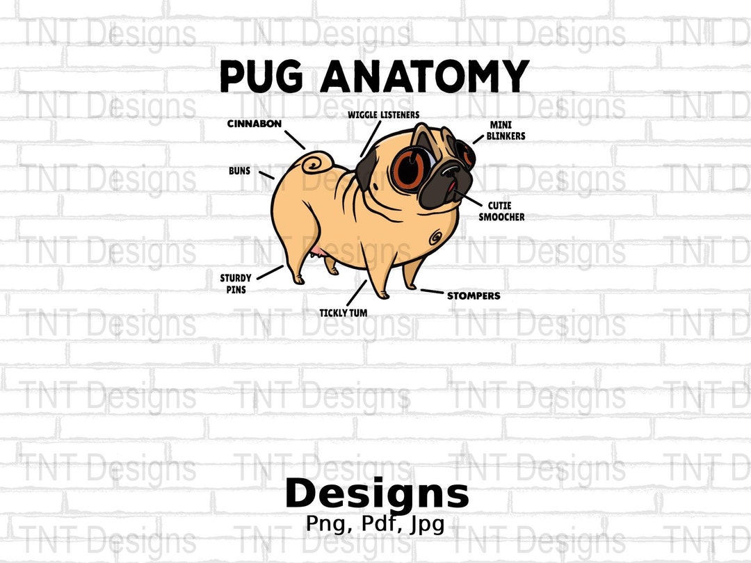 Pug Anatomy Digital Png File, Instant Download, Pug Owner T-shirt ...