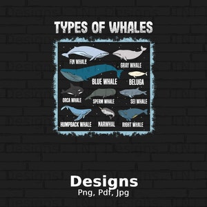 Types of Whales Digital Png File, Instant Download, Ocean Mammals Guide ...