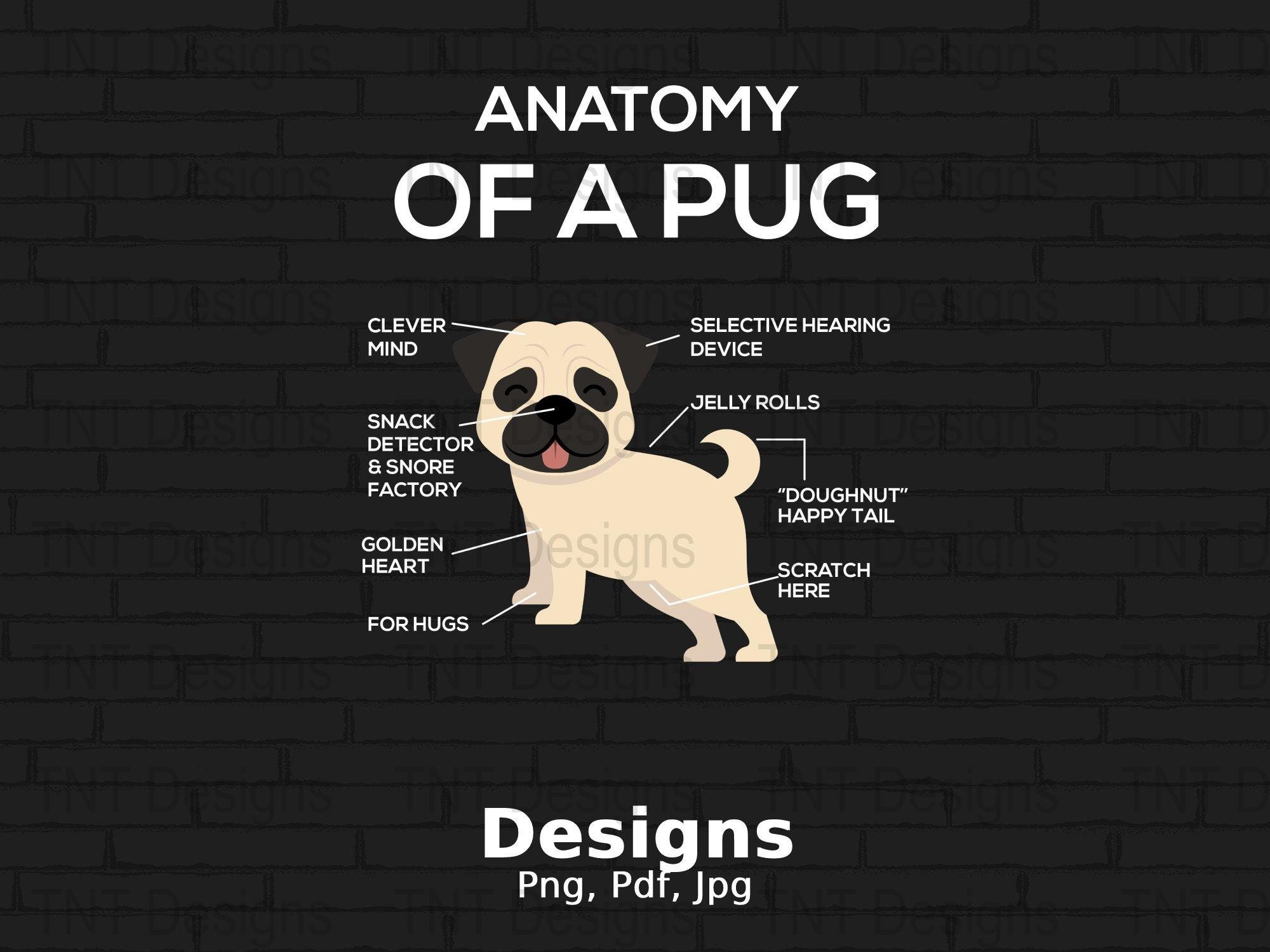 Anatomy of A Pug Digital Png File, Instant Download, Funny Dog Lover T ...