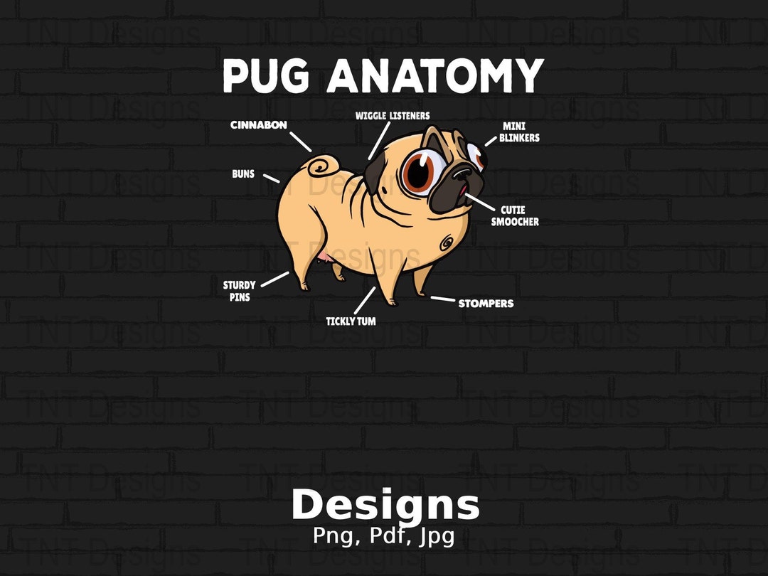 Pug Anatomy Digital Png File, Instant Download, Funny Dog Mom Png, Dog ...