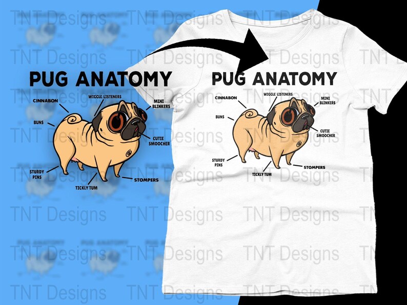Pug Anatomy Digital Png File, Instant Download, Pug Owner T-shirt ...