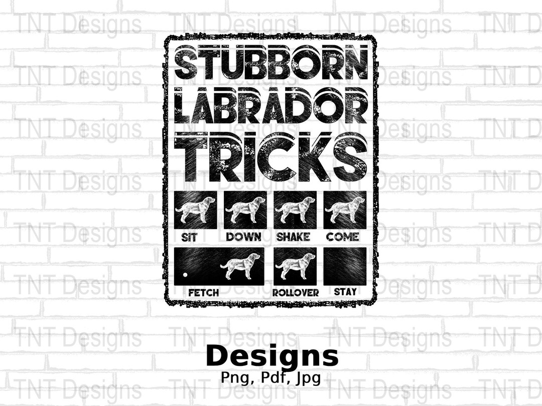 Stubborn Labrador Tricks Digital Png File, Funny Dog T-shirt Design ...