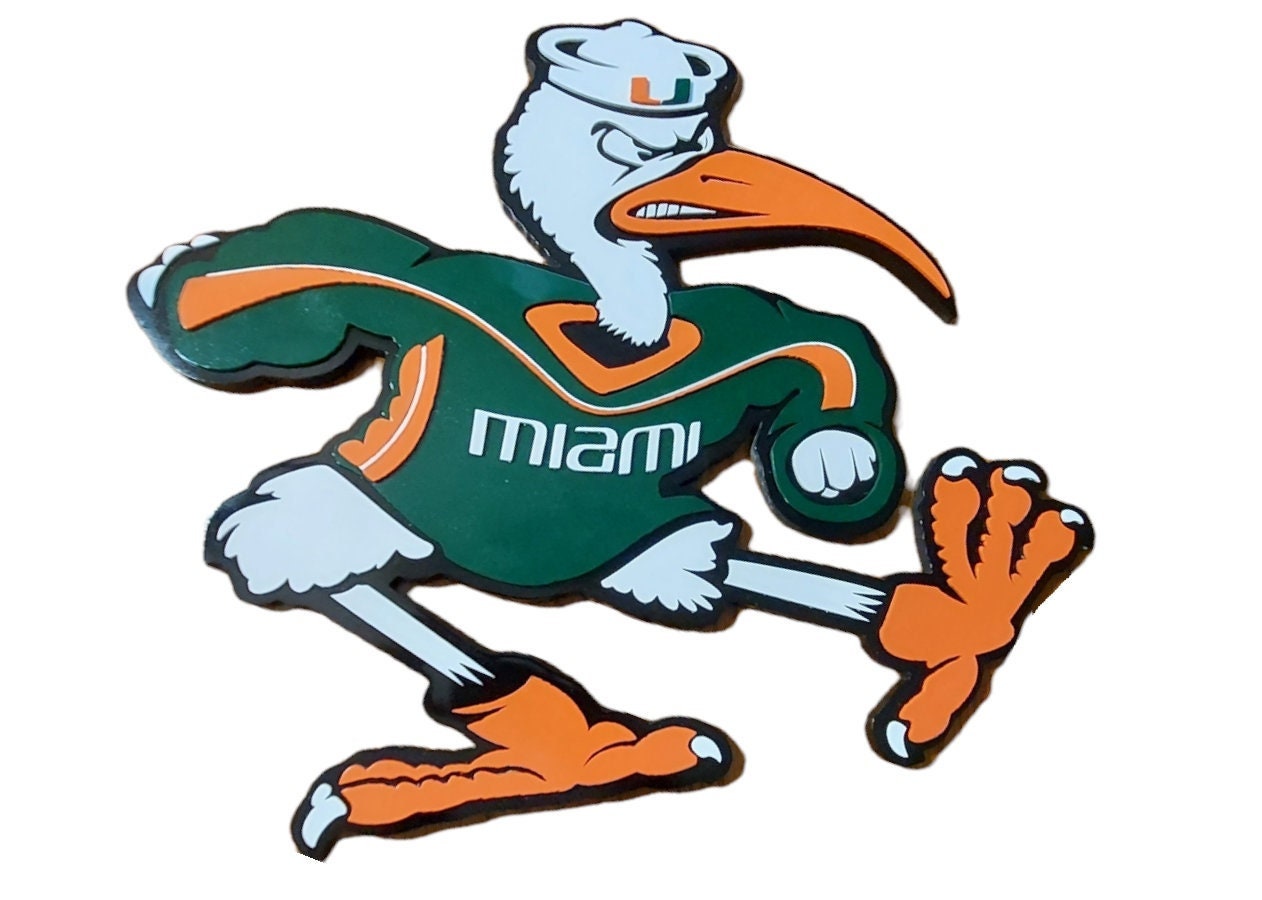 3D Miami Hurricanes Mascot Sebastian. Wall Art - Etsy