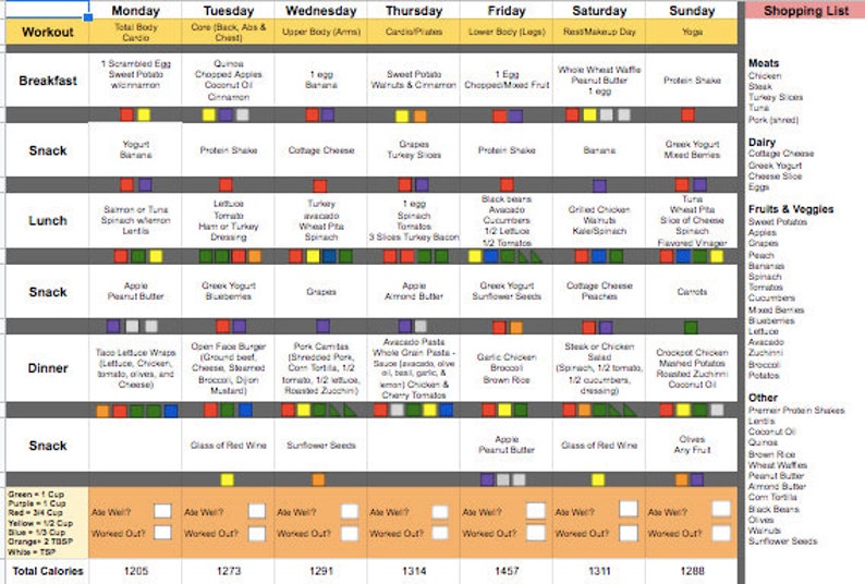 Weekly Container Diet & Exercise Plan - Etsy