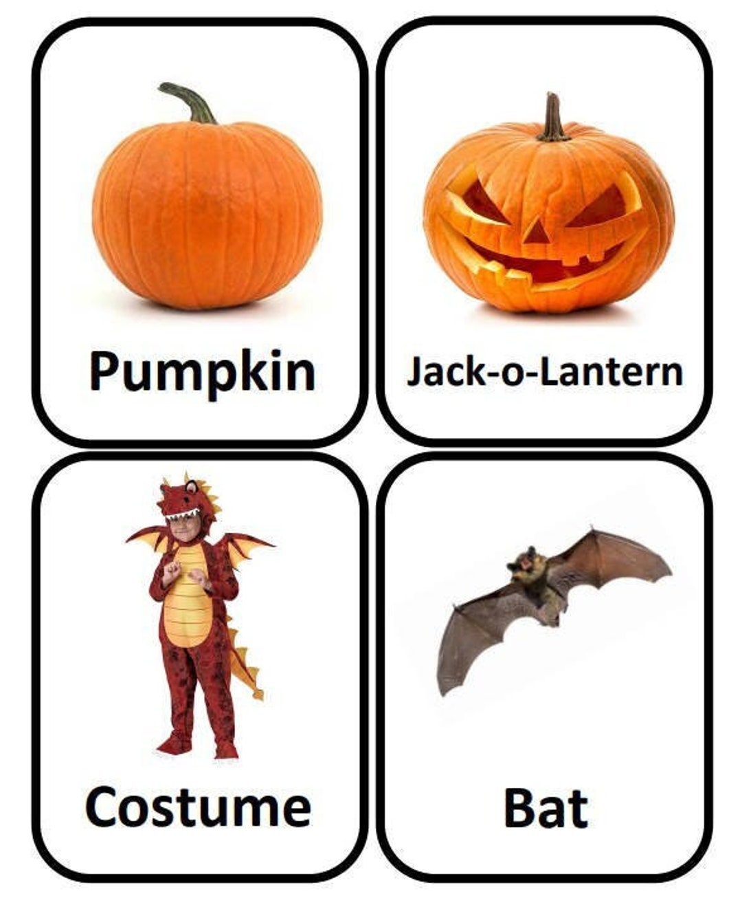 Halloween Flashcards *real Photos!* - Etsy