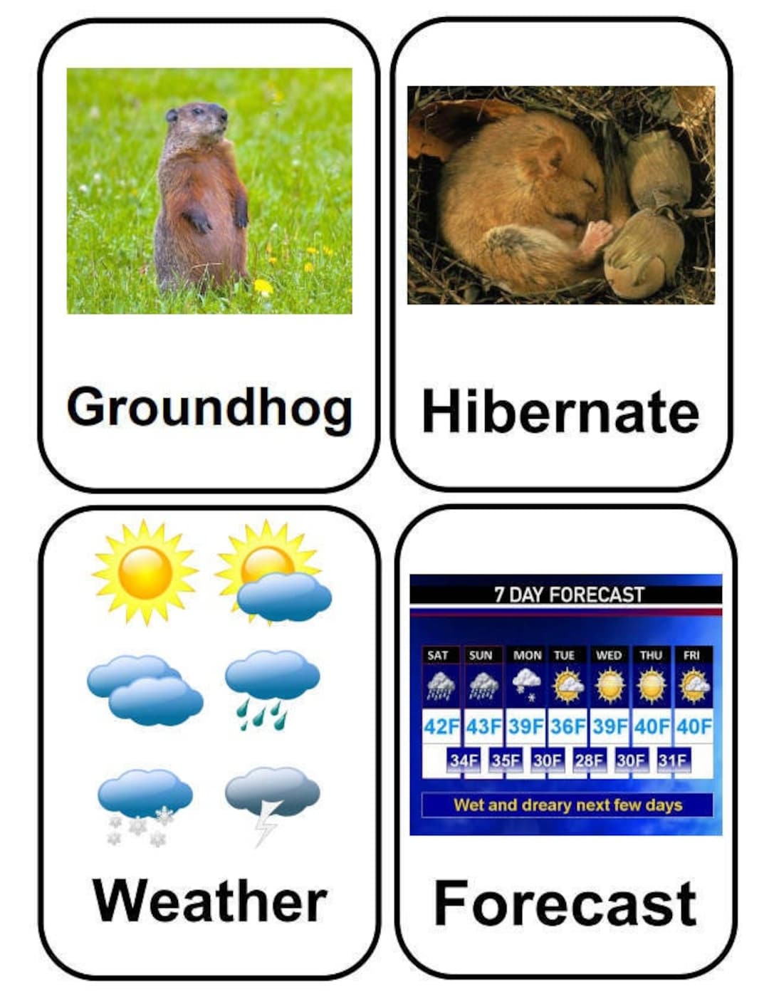 Groundhog Day Flashcards *real Photos!* - Etsy