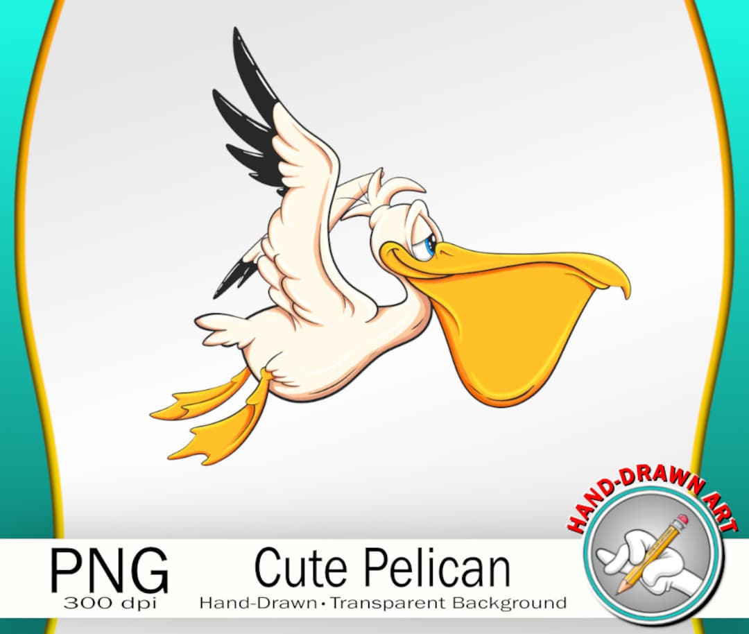 Hand-drawn Cute Cartoon Pelican - High-resolution PNG, 300 DPI ...