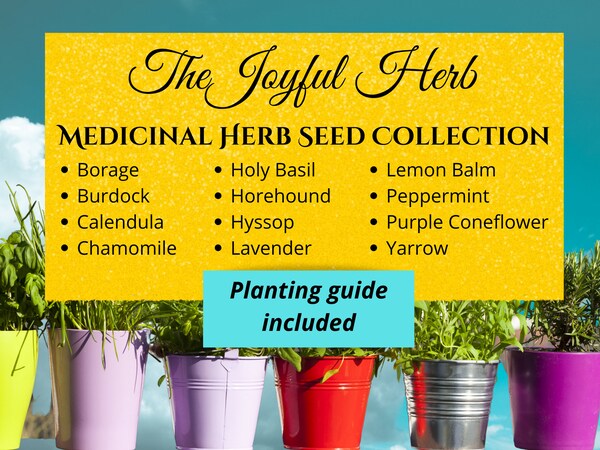 Herbal Monograph Template Materia Medica herbal Studies apothecary ...