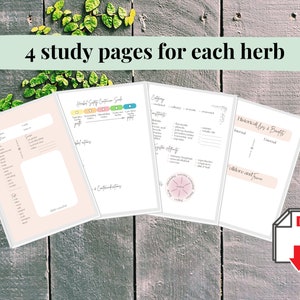 Blank Materia Medica Pages, Herbal Monograph, Botanical Workbook ...