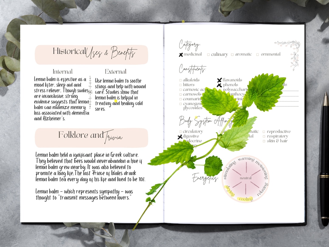 Blank Materia Medica Pages, Herbal Monograph, Botanical Workbook ...