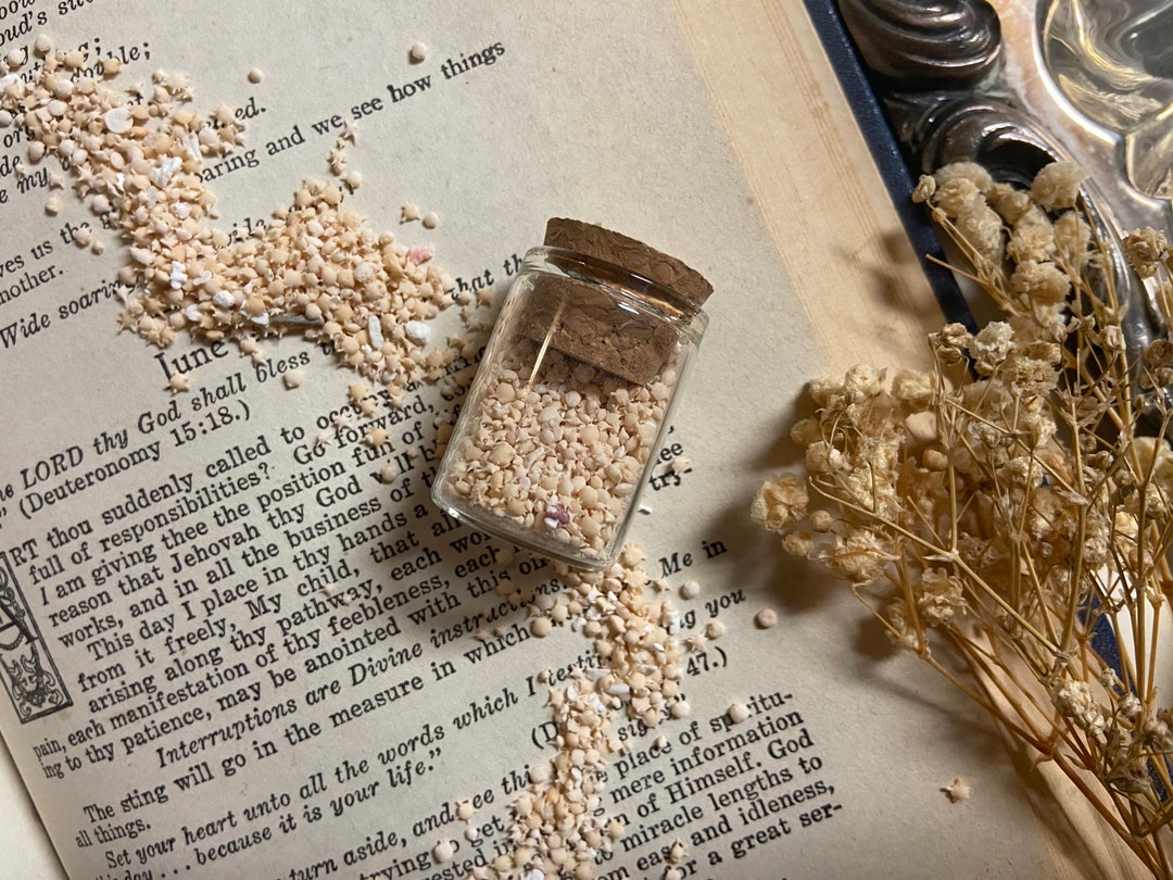 Real Tiny Star Sand in Glass Vial Sand From Okinawa Japan Natural ...