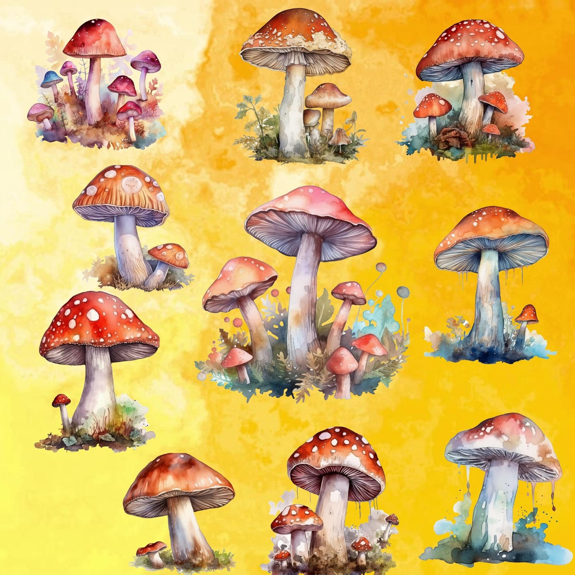 Mushrooms Clipart Watercolor Mushroom PNG Magic Mushrooms - Etsy
