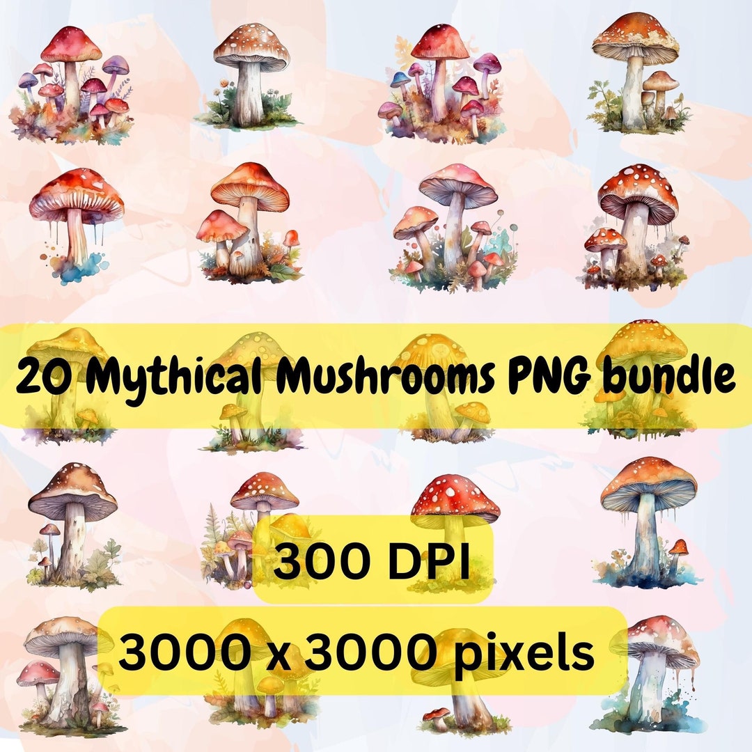 Mushrooms Clipart Watercolor Mushroom PNG Magic Mushrooms - Etsy