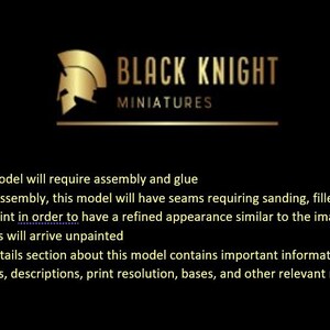 Inquisitor Cortez in Heavy Armor | RPG | Wargaming | DMG Minis - Etsy