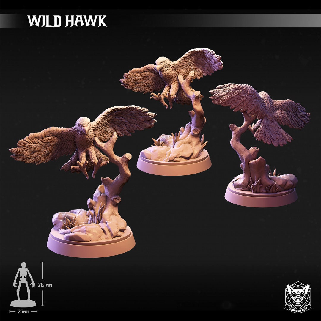 Wild Hawk | Tabletop RPG | Miniatures | Dungeon Dog - Etsy