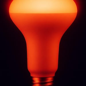 Solarared Light Therapy Bulb: Full Spectrum Deep Red & Near Infrared - Etsy