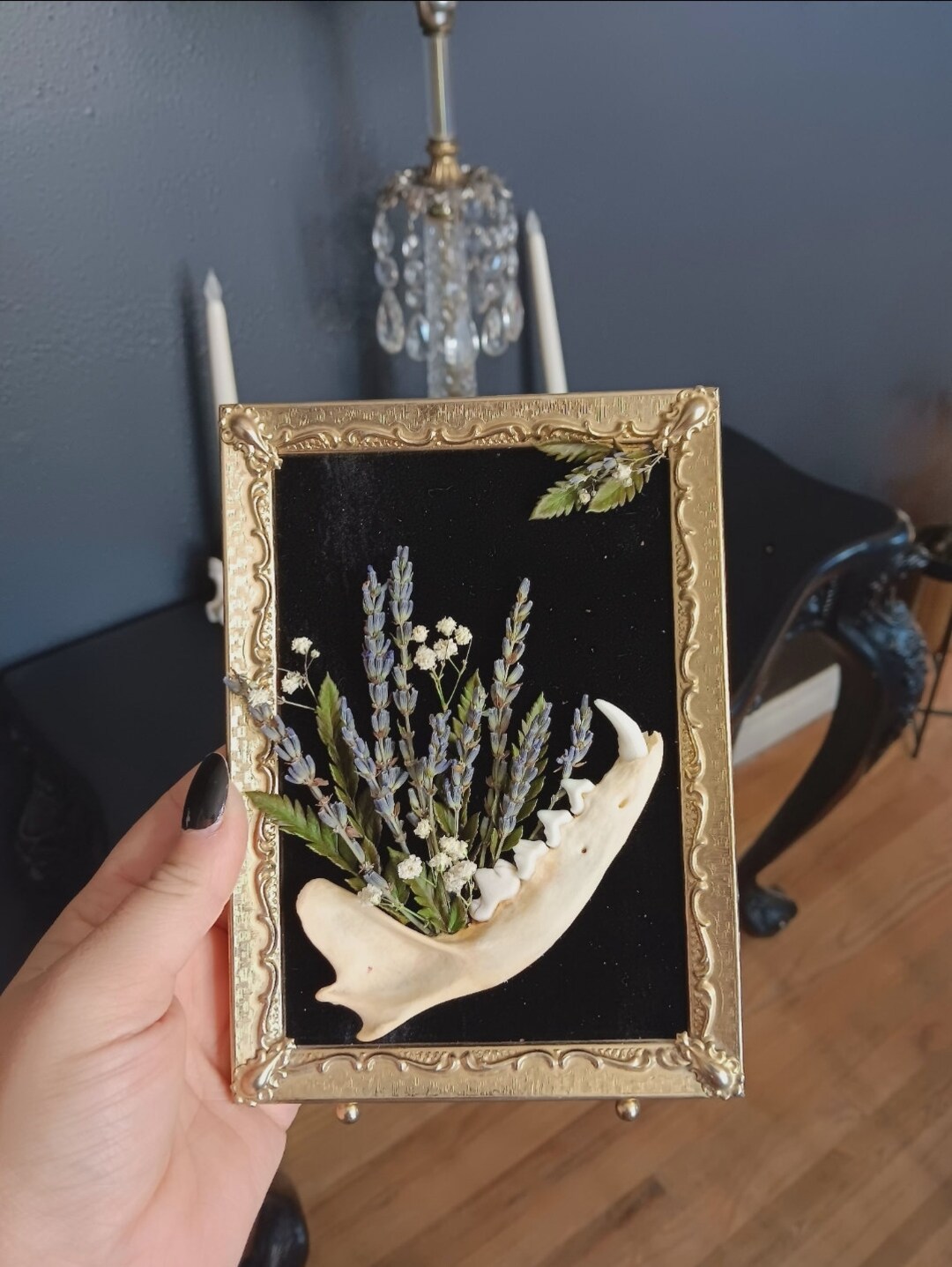 Fox Jaw Frame - Etsy