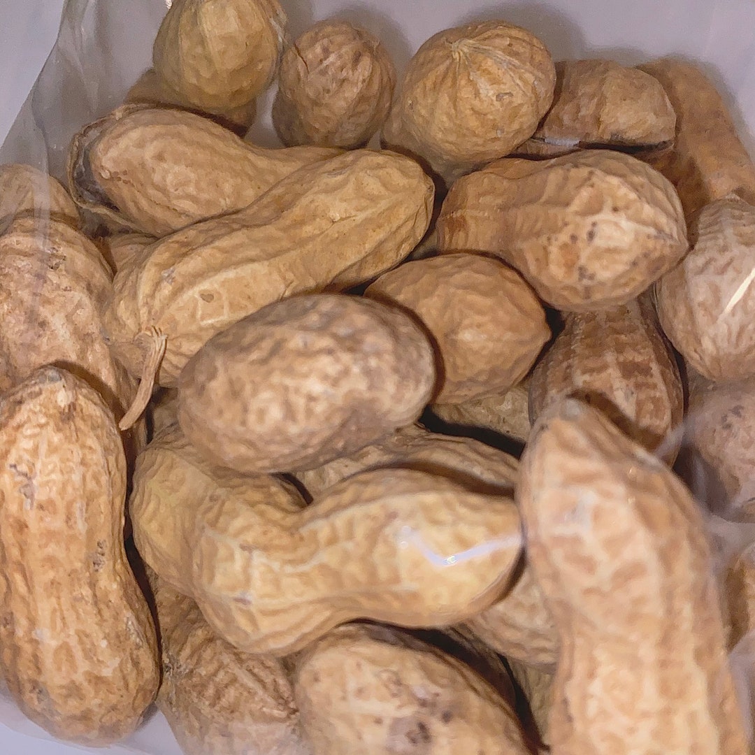 Raw Peanuts - Etsy
